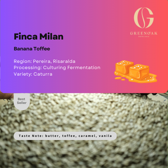 Colombia Finca Milan Banana Toffee Culturing Process with banana Raw Coffee Beans 100% Arabica ...