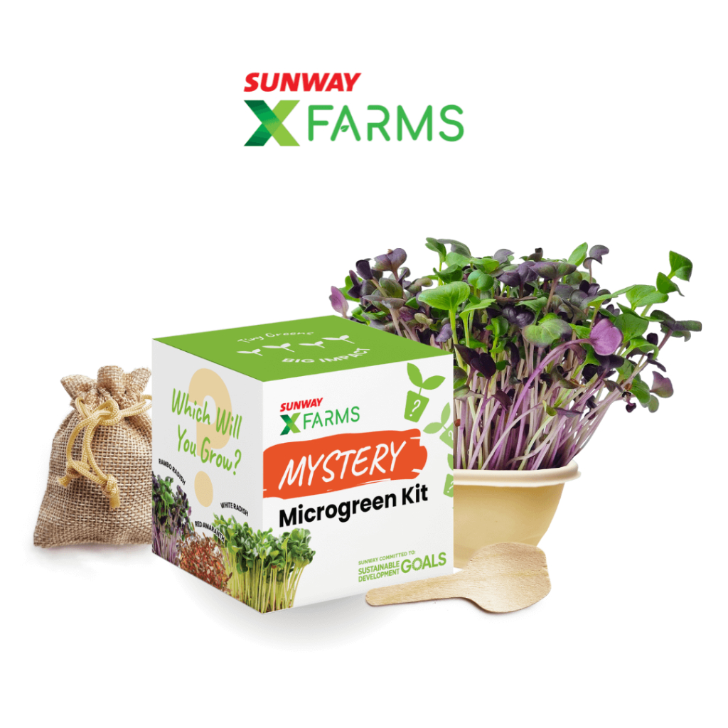 Sunway XFarms Mystery Microgreens Growing Kit | Shopee Malaysia
