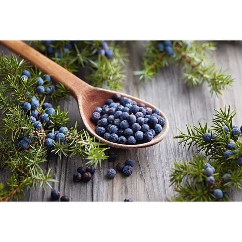 Juniper Berry Essential Oil (Juniperus Communis Fruit Oil) | Shopee ...