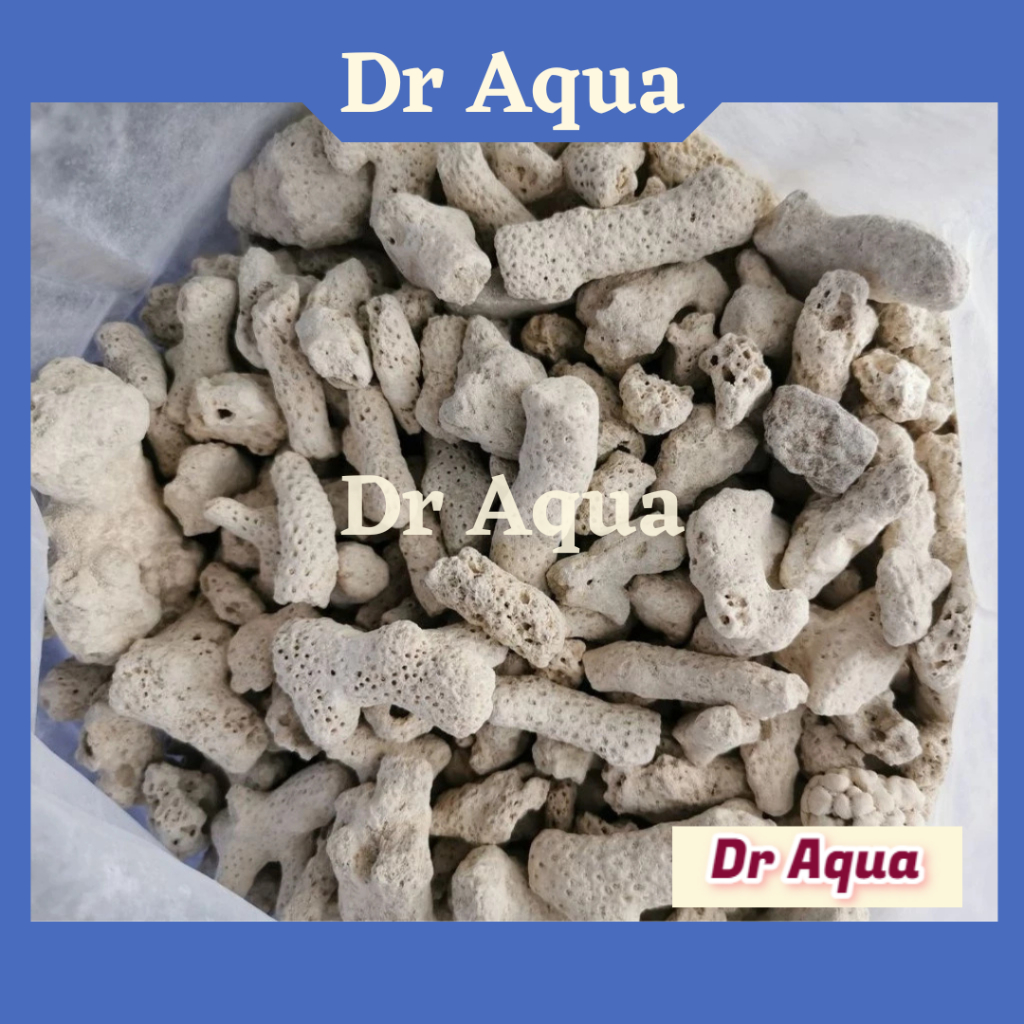 Coral Stone 20KG Batu Karang untuk Aquarium naik PH filter media system ...