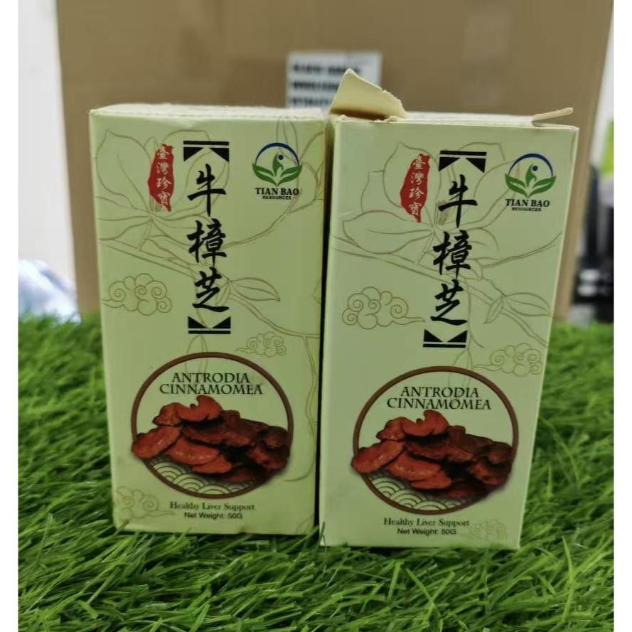 T&I Antrodia Cinnamomea Healthy Liver Support 50g 天爱康 牛樟芝 | Shopee Malaysia