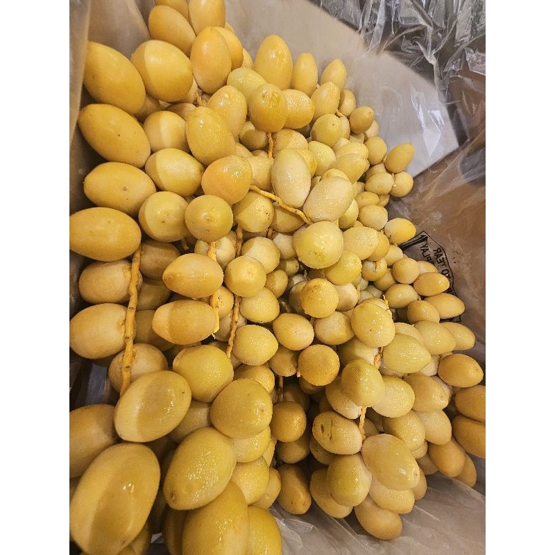 fresh dates [ kurma muda ] | Shopee Malaysia