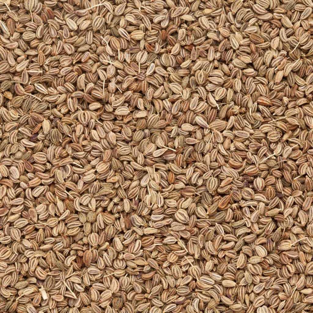 Ajwain Carmon Seeds biji 100g | Shopee Malaysia