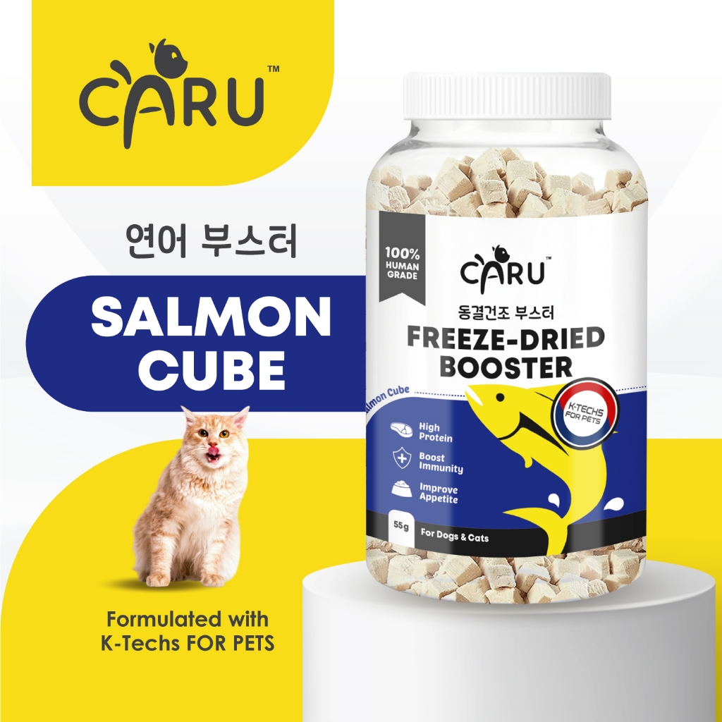 Caru Pet Freeze Dried Booster Salmon Cube (55 gram) | Shopee Malaysia