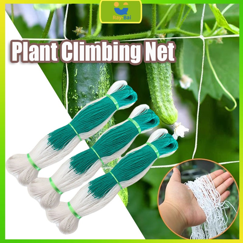 Jaring Pukat Net Trellis Netting Timun Cucumber Peria Petula Menjalar Plant Climbing 2m X 100m ...