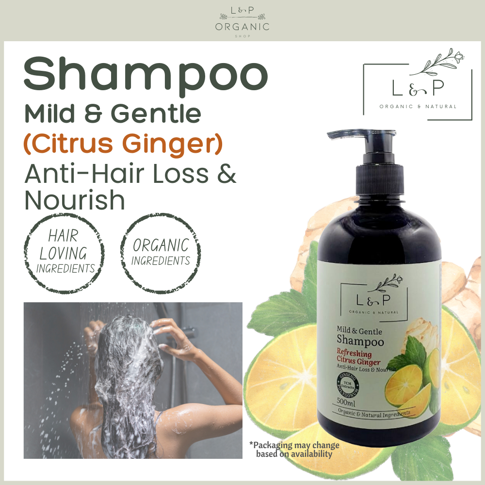 Mild & Gentle Shampoo/Citrus Ginger/Anti-Hair Loss/Nourishing ...