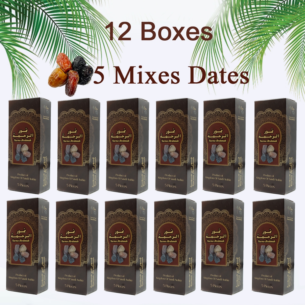 (Wholesale) 12 Boxes mix dates IFTAR | RAMADAN CHARIT Mix Kurma ...