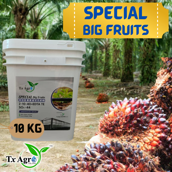 SPECIAL BIG FRUITS Baja Kelapa Sawit NPK 2-10-40 Tx Argo Sdn Bhd 10kg ...