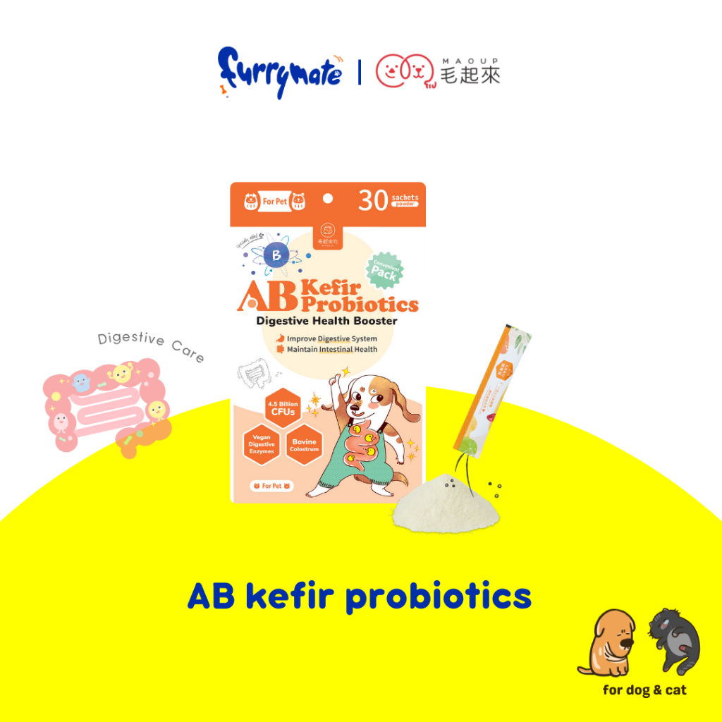 MAOUP - AB Kefir Probiotics Digestive Health Booster (30bag/Pack ...