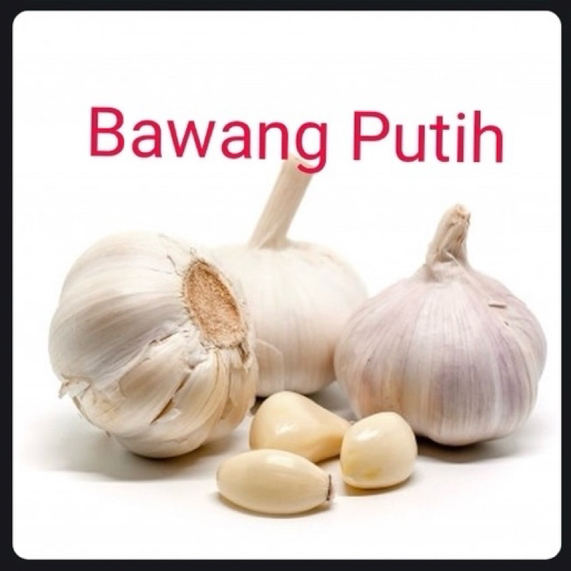 500g @ 1kg Bawang Putih Garlic 蒜头 | Shopee Malaysia