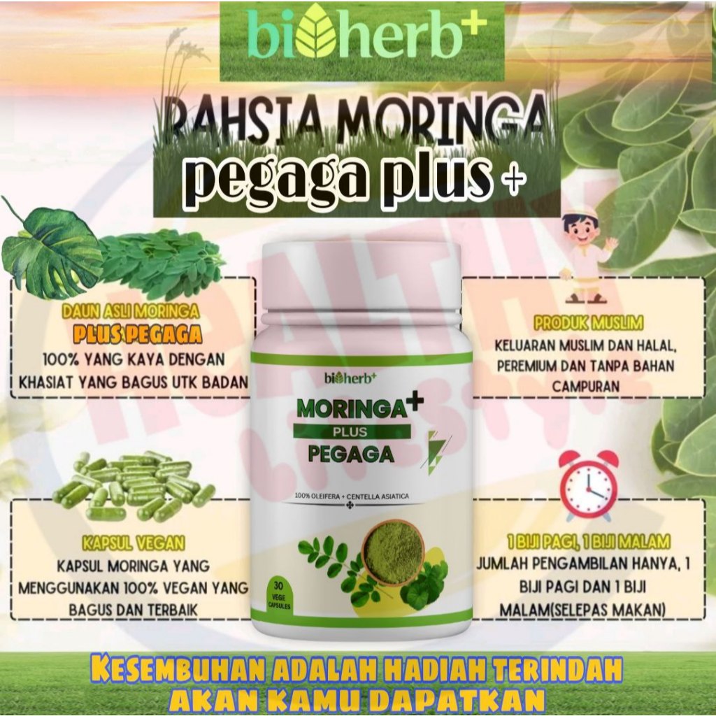 Bioherbs Moringa Oliefera Pegaga Plus Capsules Merawat Pelbagai Jenis ...