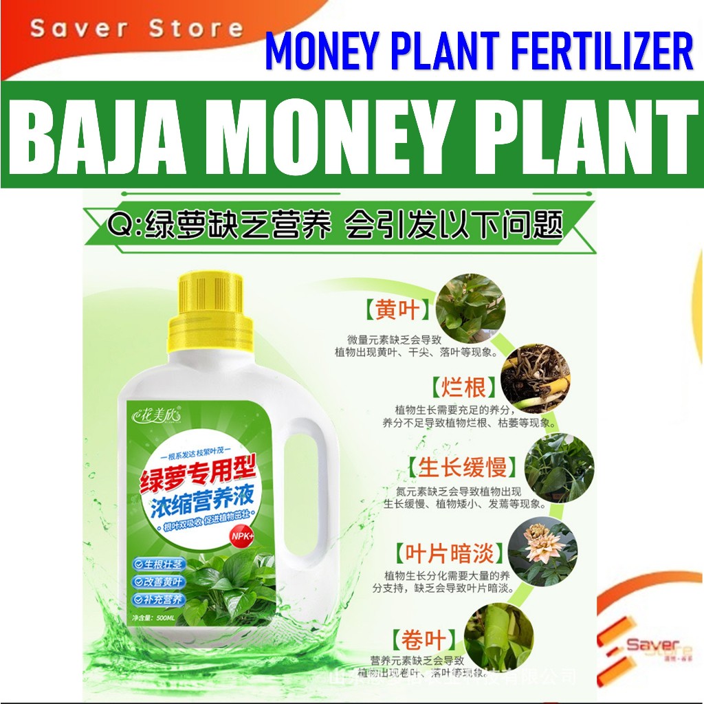 Baja Money Plant Fertilizer Baja Pokok Duit-Duit | Pothos Fertilizer ...