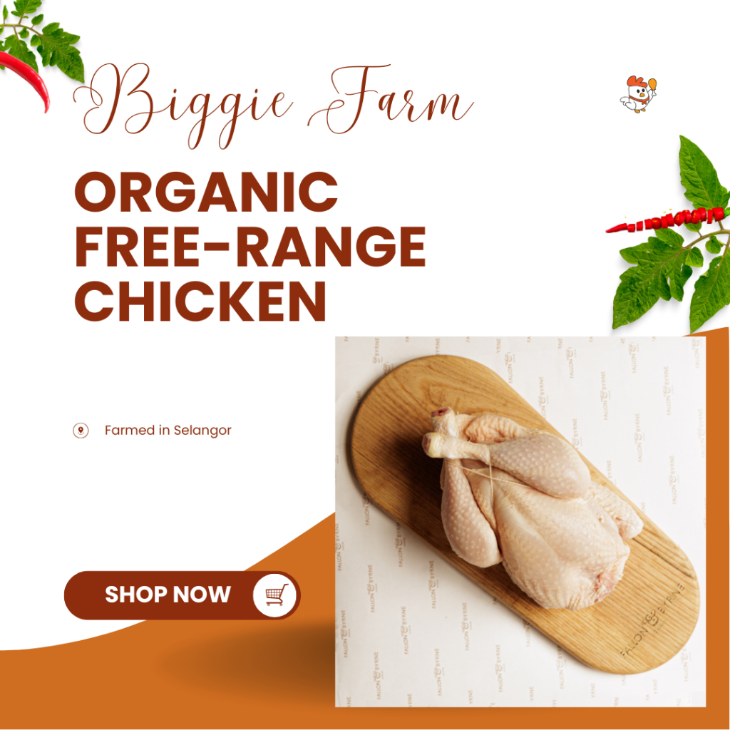 Organic Free-range Chicken - +-2kg- 120 days old - Farm to Table Whole ...