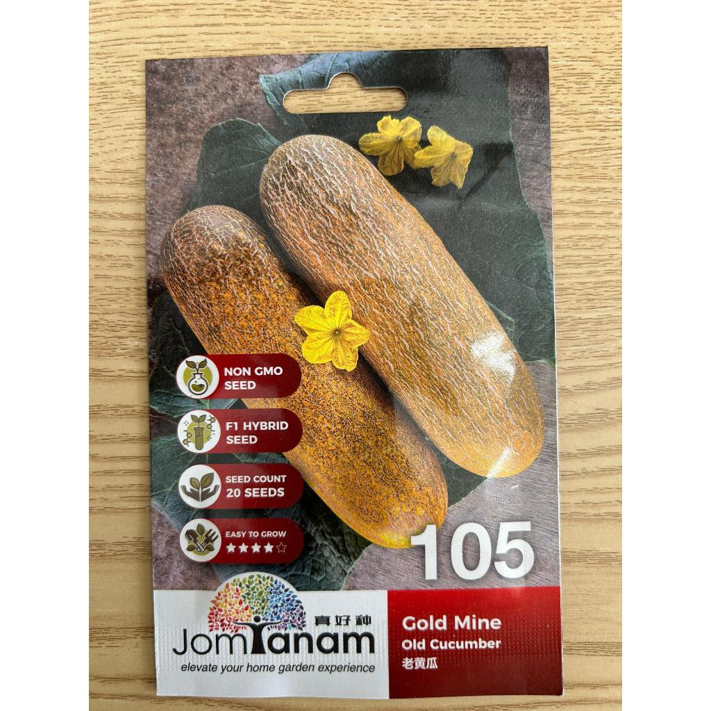Gold Mine ( old cucumber ) - 20 biji / benih | Shopee Malaysia