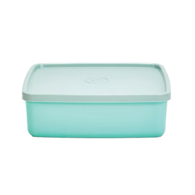 Tupperware Large Square Away 620ml (1pc) | Shopee Malaysia