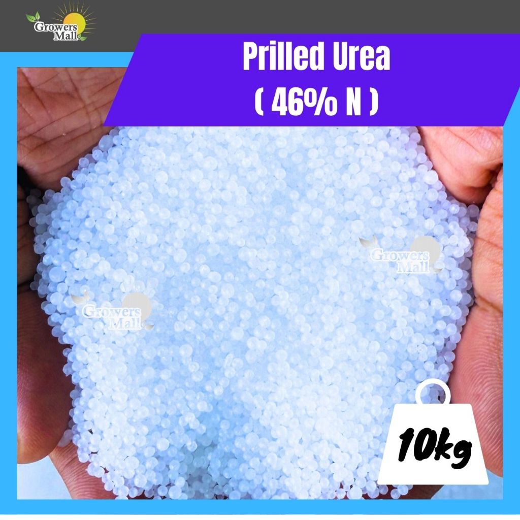 [10kg] ANPIKA :PRILLED UREA - Baja Nitrogen (46%N) | Shopee Malaysia