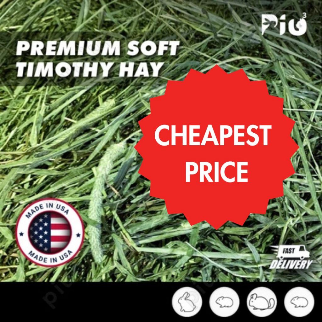 [24HR SHIP] PREMIUM SOFT TIMOTHY HAY Imported Timothy Alfalfa Orchard Lucerne Hay Rabbit Guinea ...