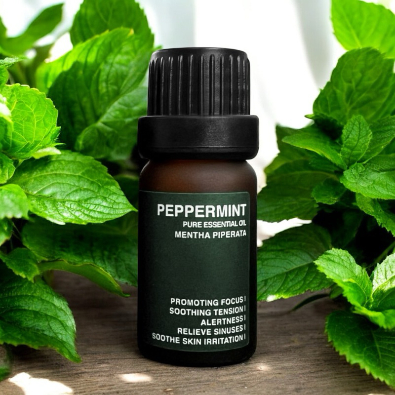 Peppermint pure essential oil (mentha piperita) | Shopee Malaysia