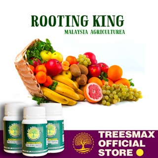 Rooting King Powder New generation fertilizer X3 power for plants ...