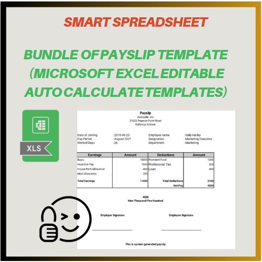 Collection of Bundle of Payslip Template (Microsoft Excel editable auto ...