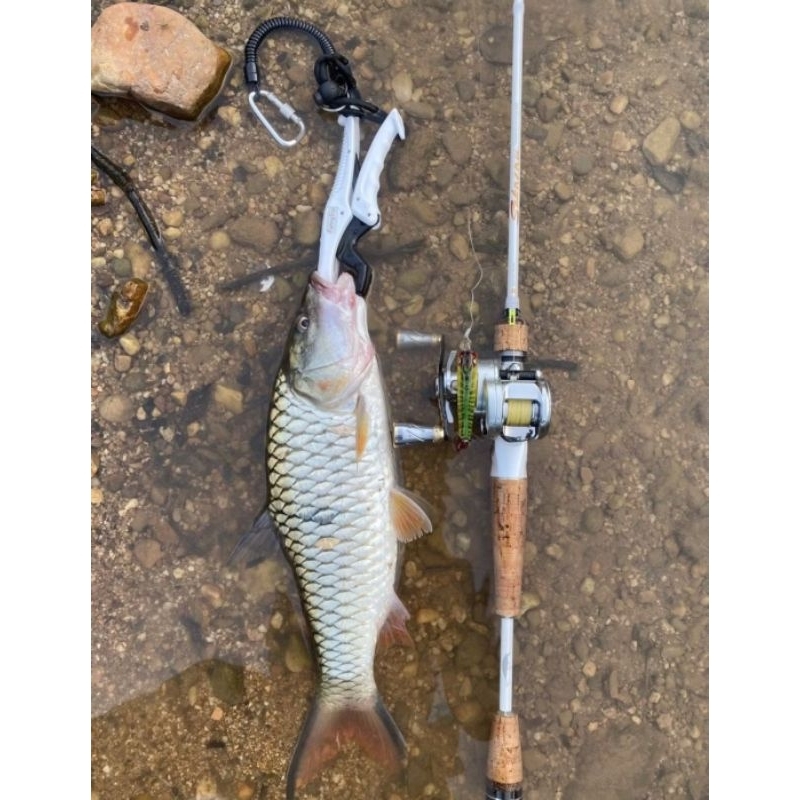 EUPRO SEBARAU ULTRALIGHT LIMITED EDITION/ EXP SONIX | Shopee Malaysia