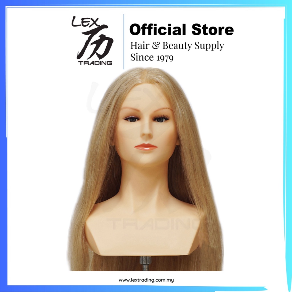 Pivot Point Diana Long Hair Mannequin Head For Competition 100% Human ...