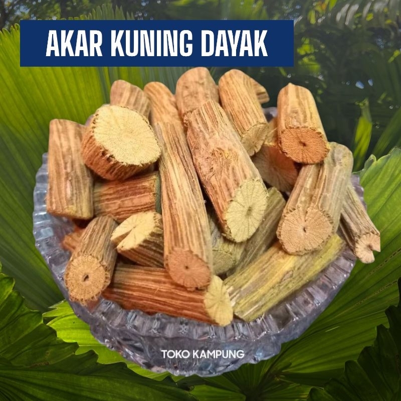 AKAR KUNING DAYAK @ KALIMANTAN, Herba(Rawatan Hati) | Shopee Malaysia