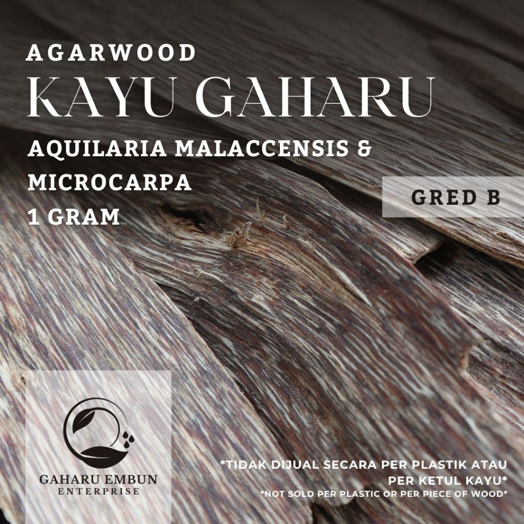 GAHARU EMBUN Gred B Aquilaria Malaccensis & Microcarpa Kayu Gaharu (Agarwood Chip) 1 GRAM ...
