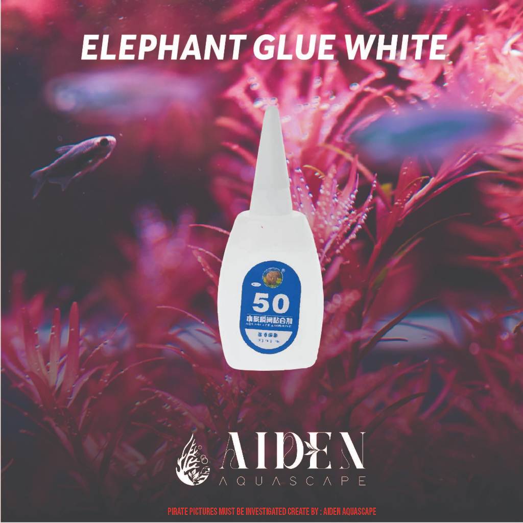 Elephant Glue White 50g | Shopee Malaysia