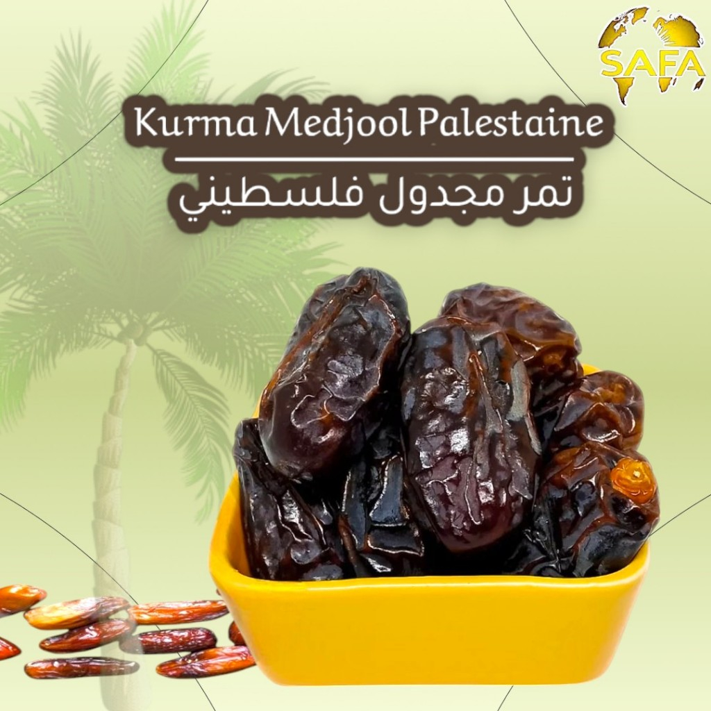 Medjool Palestine | Large Jumbo | 1kg | Dates Majdool Palestine | Kurma ...