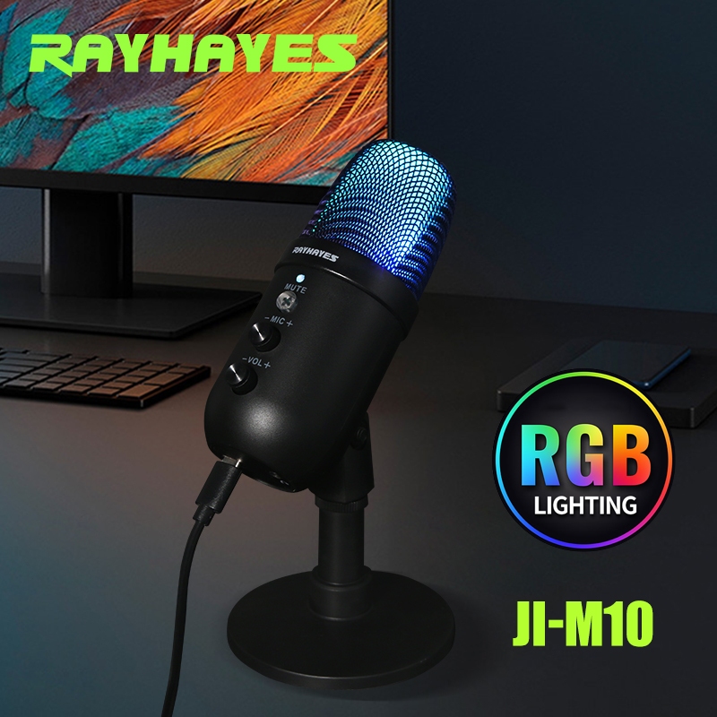 RAYHAYES Condenser Microphone USB Gaming Mic For Live Recording Video ...