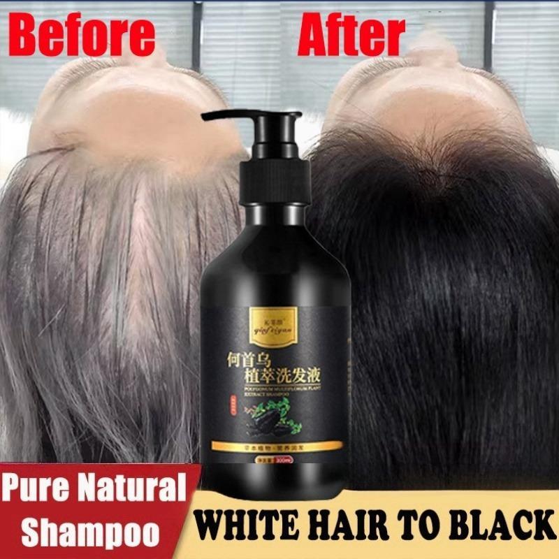 Polygonum Multiflorum Shampoo moisturizing silicone oil free repair ...