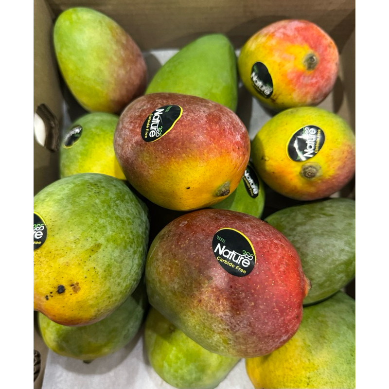 Indian Mango/Senthura Mango/Sindhura Mango/indian mango | Shopee Malaysia