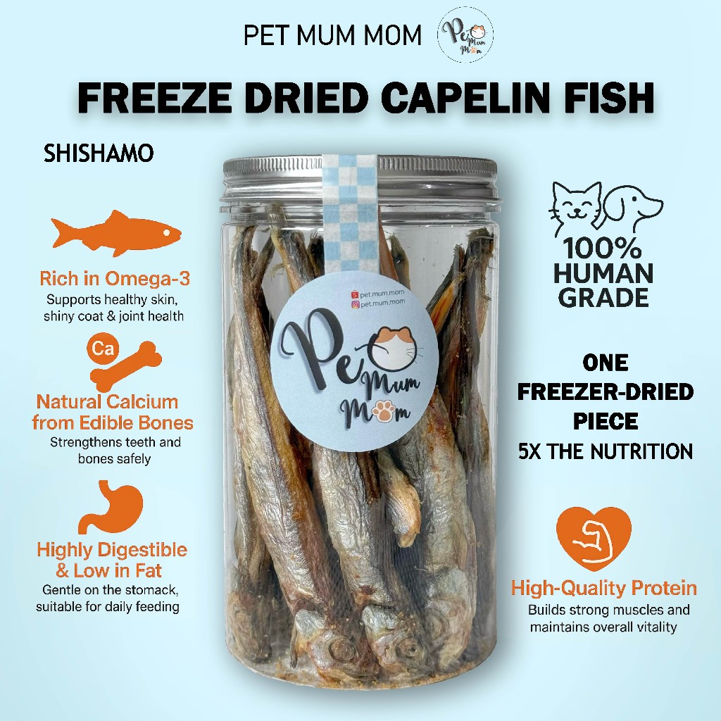 PET MUM MOM Freeze Dried Capelin Fish Treats for Pets – Whole Fish with ...
