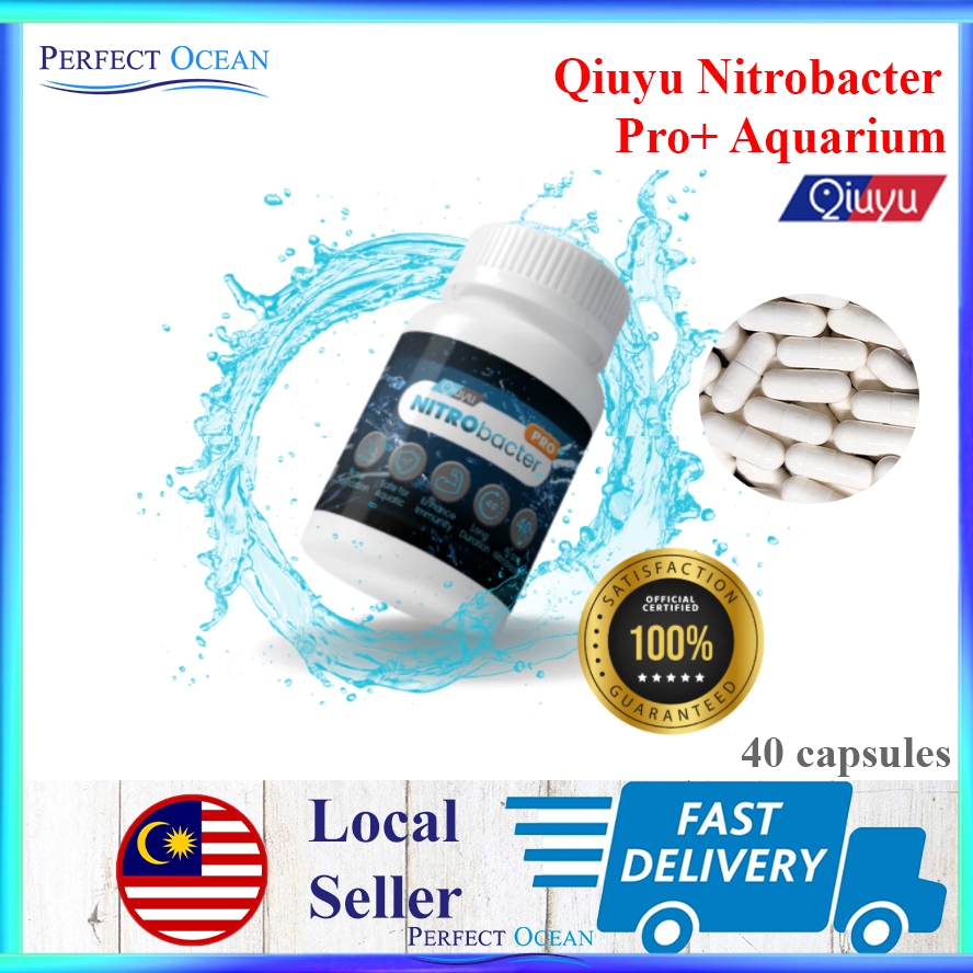 Qiuyu Nitrobacter Pro+ Concentrated Nitrifying Nitrobacteria Bakteria ...