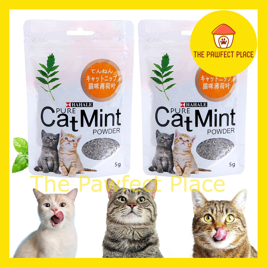 5g Natural Pure Catnip Cat Grass Serbuk Pudina Kucing Menthol Flavor ...