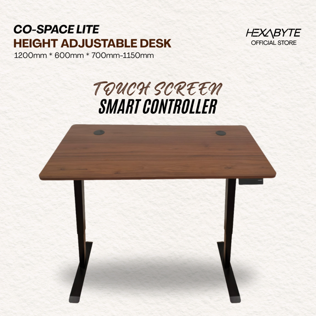 Hexabyte Co-Space Lite Ergonomic Motorized Height Adjustable Table/Standing Desk 120CMx60CMx ...