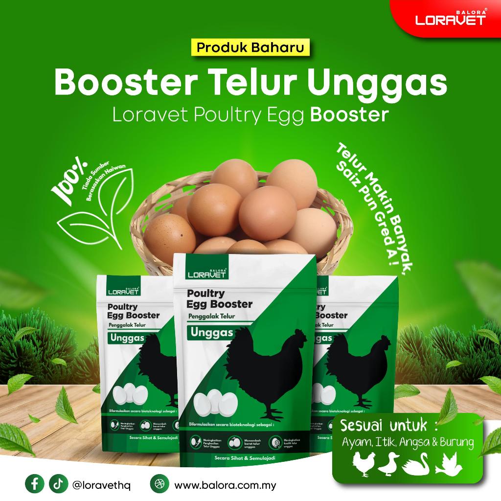 LORAVET PENGGALAK TELOR ( AYAM, ITIK, BURUNG ) SET EKONOMI 10 PACK ...