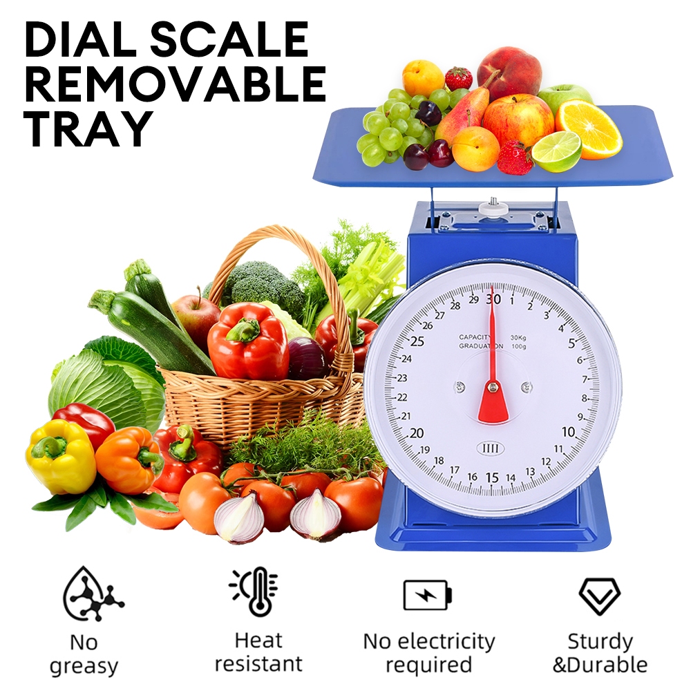 10Kg Commercial Mechanical Scale Spring Balance Weight Scale Dial Flat ...