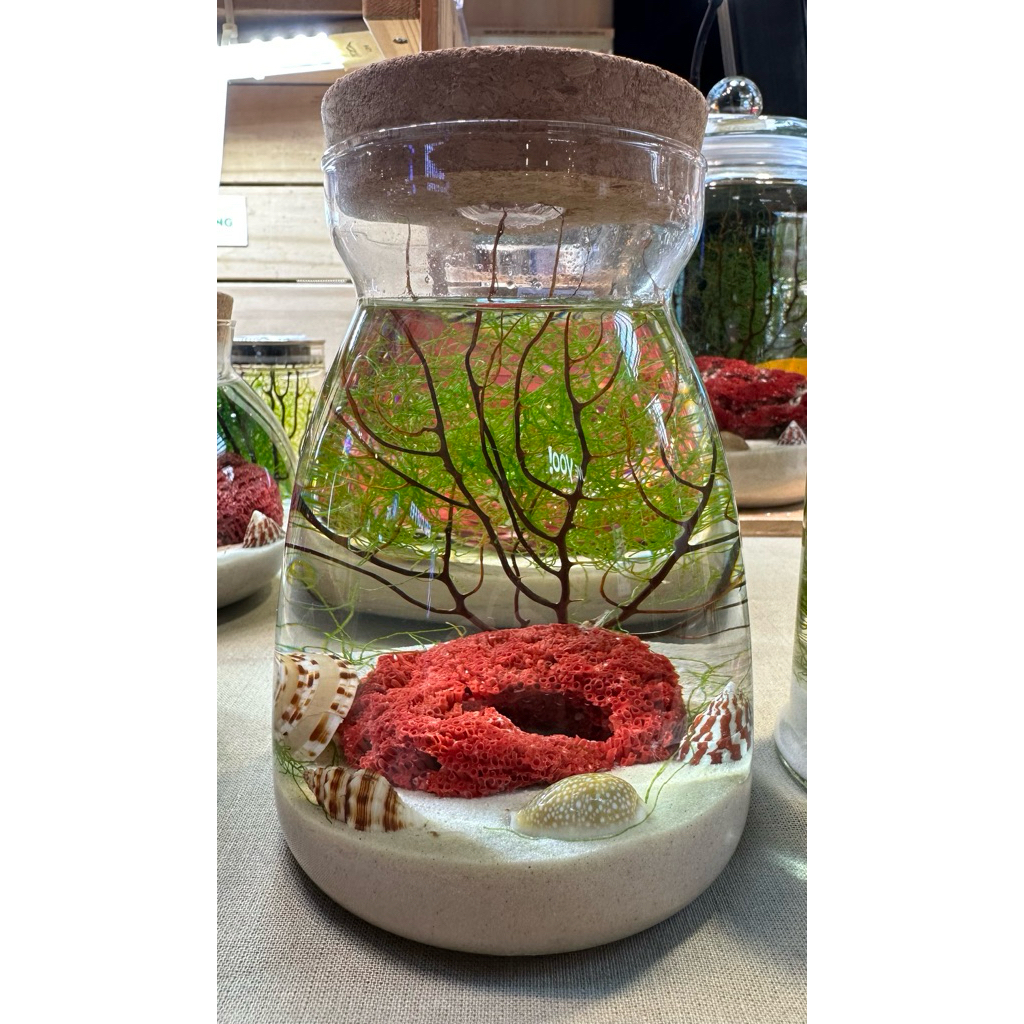 Opae Ula Shrimp 1L Habitat Set Type 5- The Shrimp Thing | Shopee Malaysia