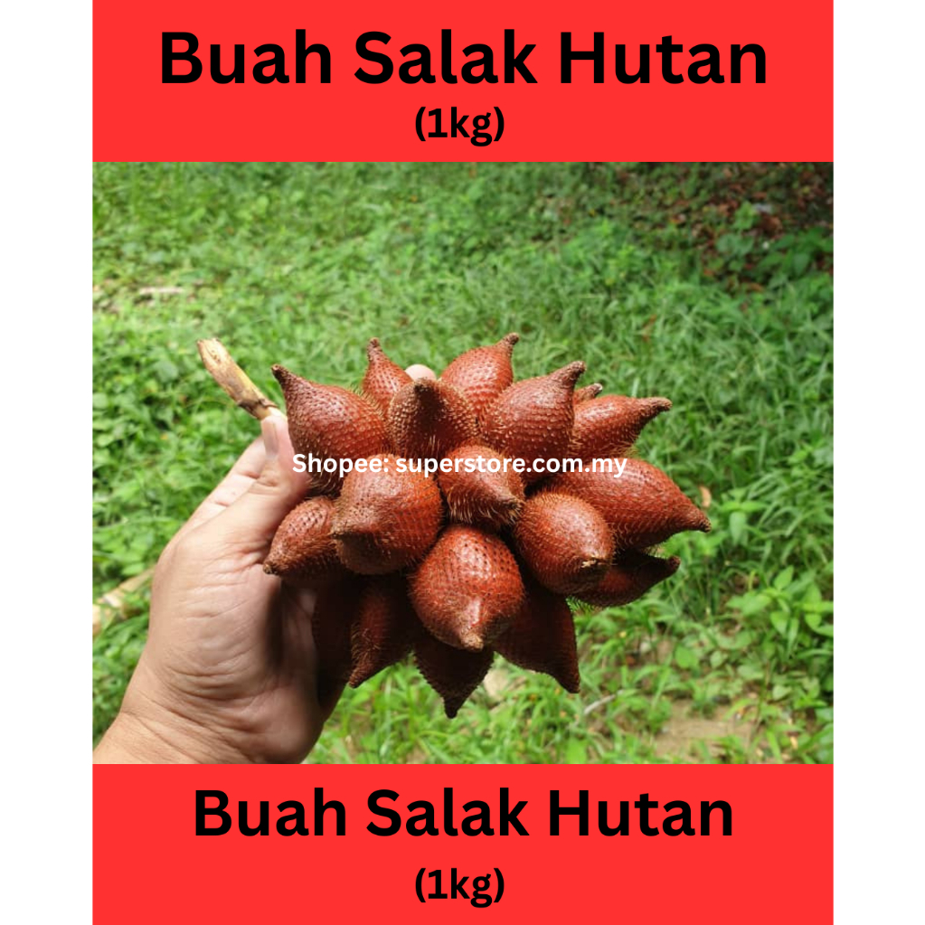 Buah Salak Hutan Segar 1kg/Buah Salak Siam 1kg/Buah Salak Hutan Fresh ...