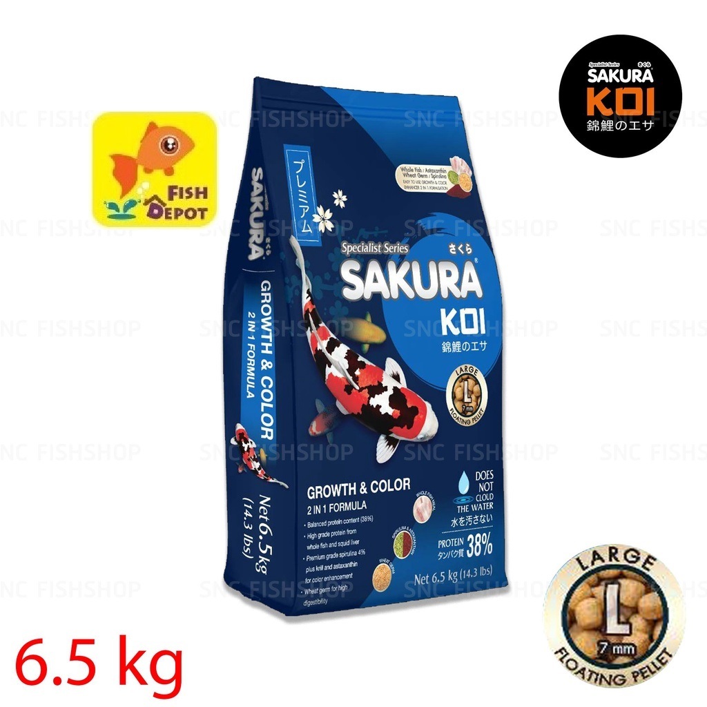 Sakura Koi Fish Food 6.5kg | Growth & Color Enhancing Koi Pellet | Fast ...