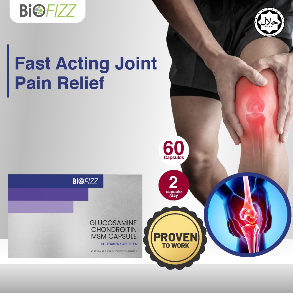 BIOFIZZ Glucosamine Chondroitin MSM 60's x 3 - Joint Pain Supports ...