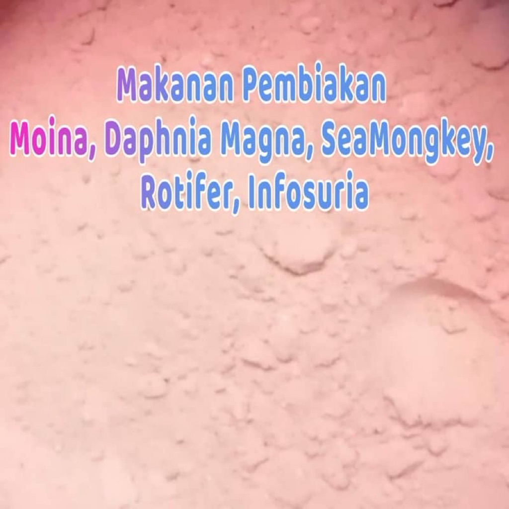 [500 g] Repack Powder Makanan Moina,Daphnia Magna,SeaMonkey,Rotifer ...