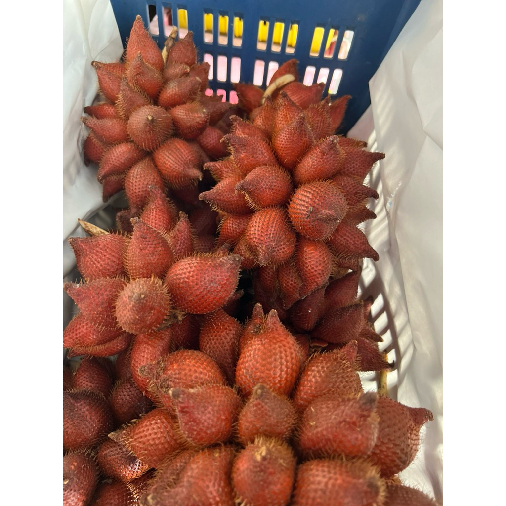 salak sedap segar masam manis 1kg | Shopee Malaysia