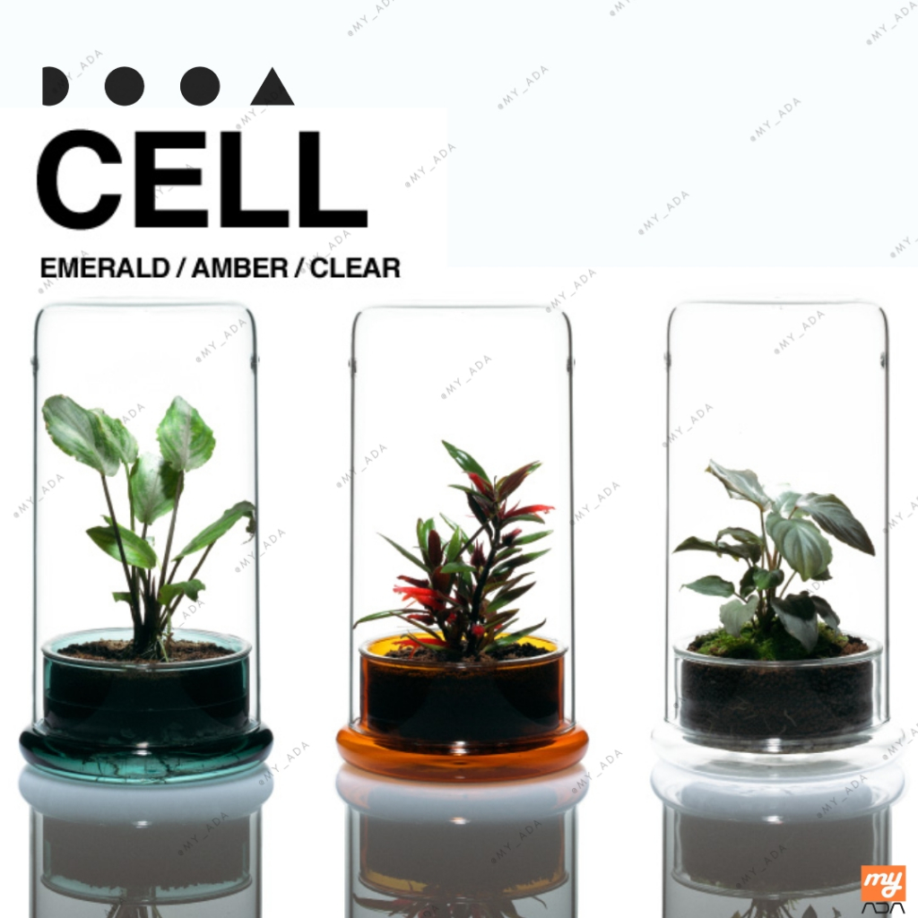 DOOA Cell Glass Pot , DOOA Cell Emerald , DOOA Cell Amber , DOOA Cell Clear. A Game-Changer for ...