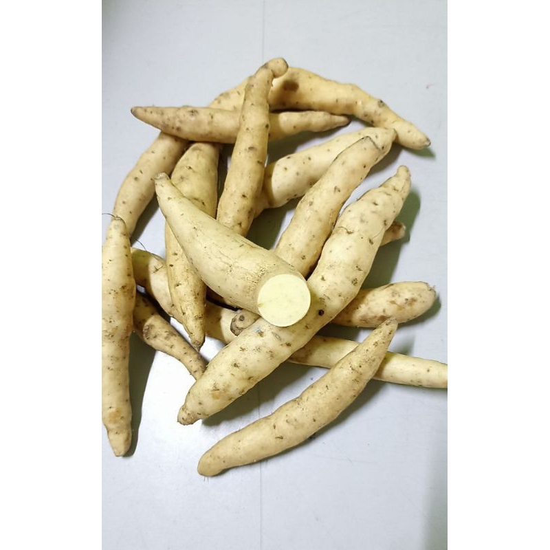 1KG UBI LILIN/ UBI JALAR PUTIH /WHITE SWEET POTATO | Shopee Malaysia