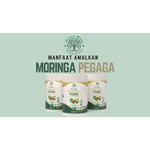 Nature Made MY PURE MORINGA PEGAGA Asli Gred Premium (15 SACHETS ...