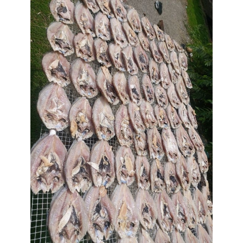 ikan bekok homemade | Shopee Malaysia