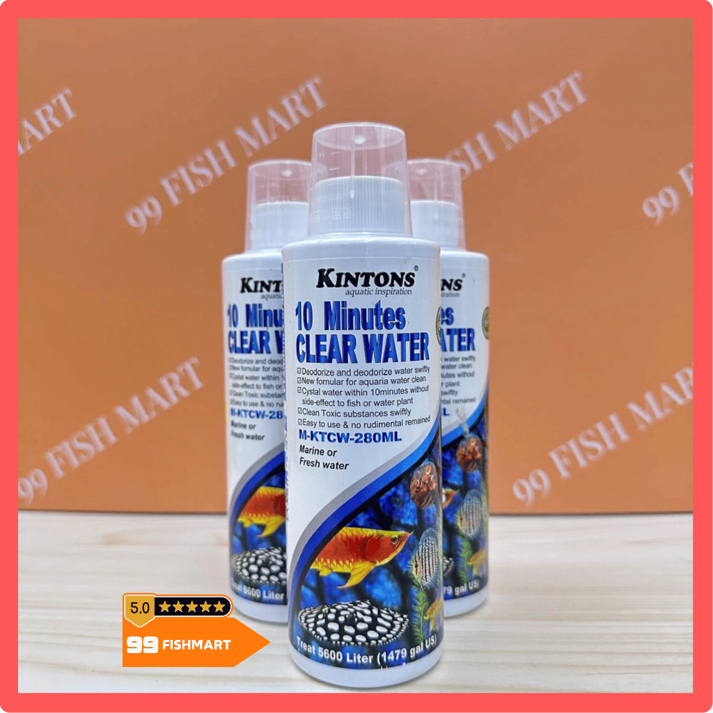 KINTONS 10 MINUTES CLEAR WATER FISH AQUARIUM / AKUARIUM IKAN AIR JERNIH ...